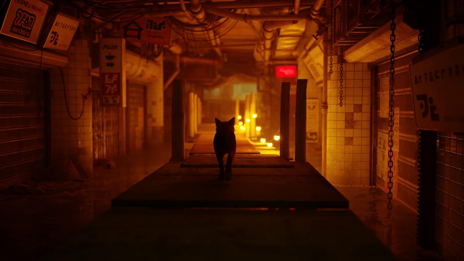 Stray - PlayStation 5 | Irshad.az
